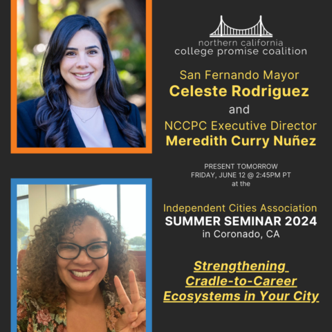 NCCPC Presents at the 2024 ICA Summer Seminar | NCCPC
